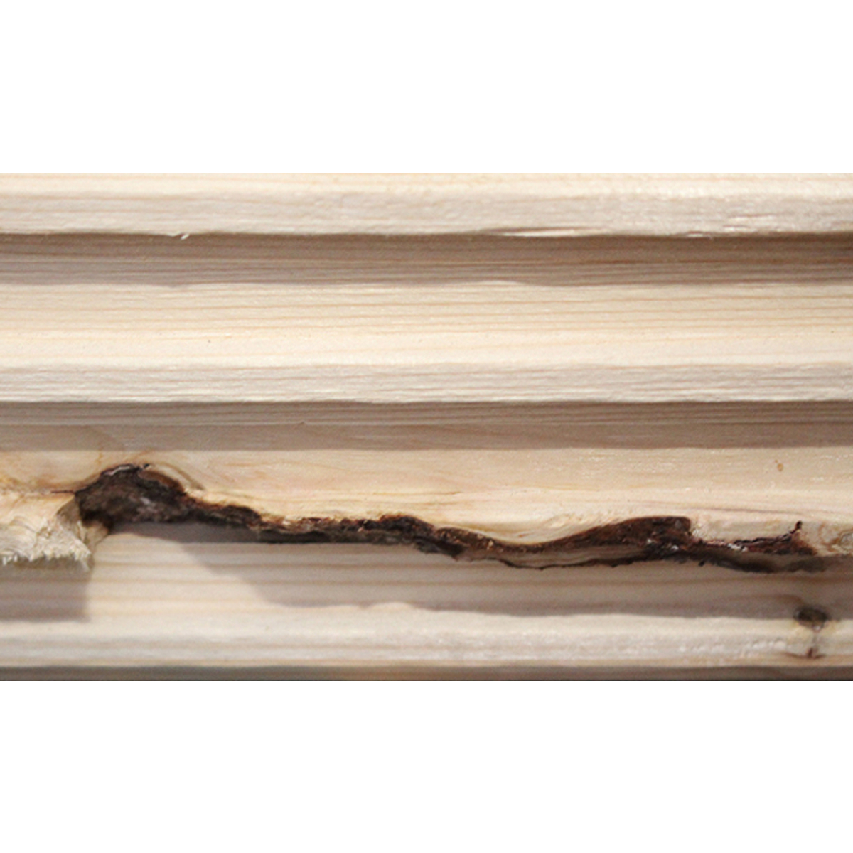 Rauspund nordische Fichte unbehandelt Sexta+ 21 x 121 x 3000 mm online ...